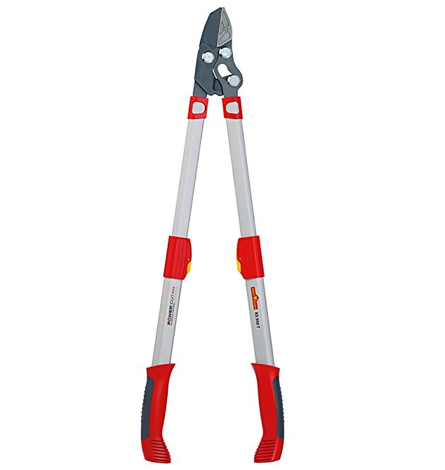 8 Best Anvil Lopper - Essential tool for any home gardener - Tool Box