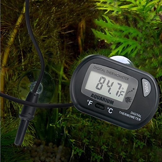 5 Best Digital Aquarium Thermometer - Keep your fish active and happy ...
