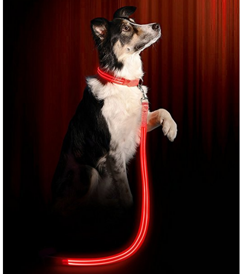 5 Best LED Dog Leash - Give your dog the safety he/she deserves - Tool Box