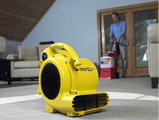 5 Best Carpet Blower Fan - A quick, efficient way to dry - Tool Box