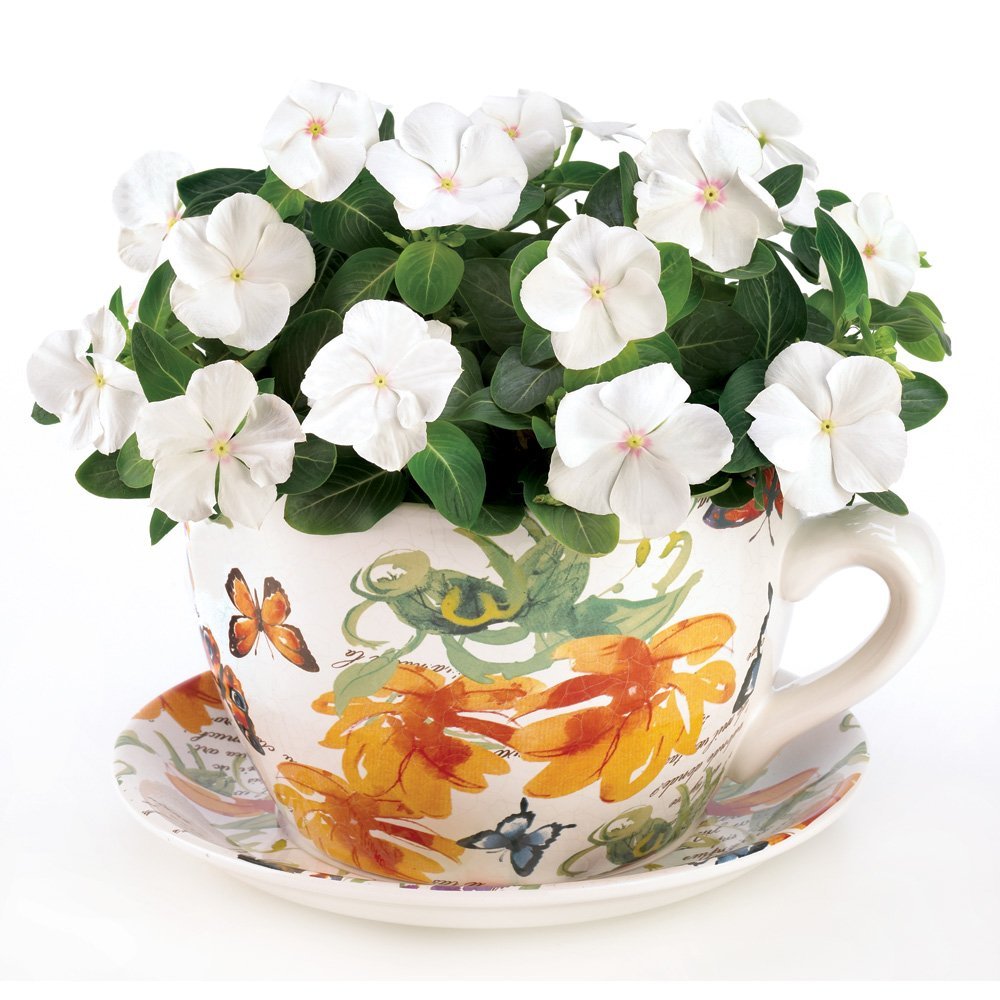 5 Best Flower Pots - Add a fresh smell of your life - Tool Box