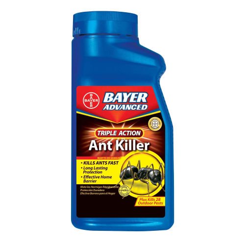 5 Best Ant Killers - Keeping Your Home Away From Ant - Tool Box