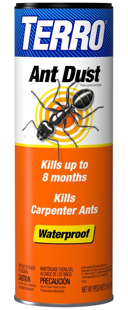 5 Best Ant Killers - Keeping Your Home Away From Ant - Tool Box