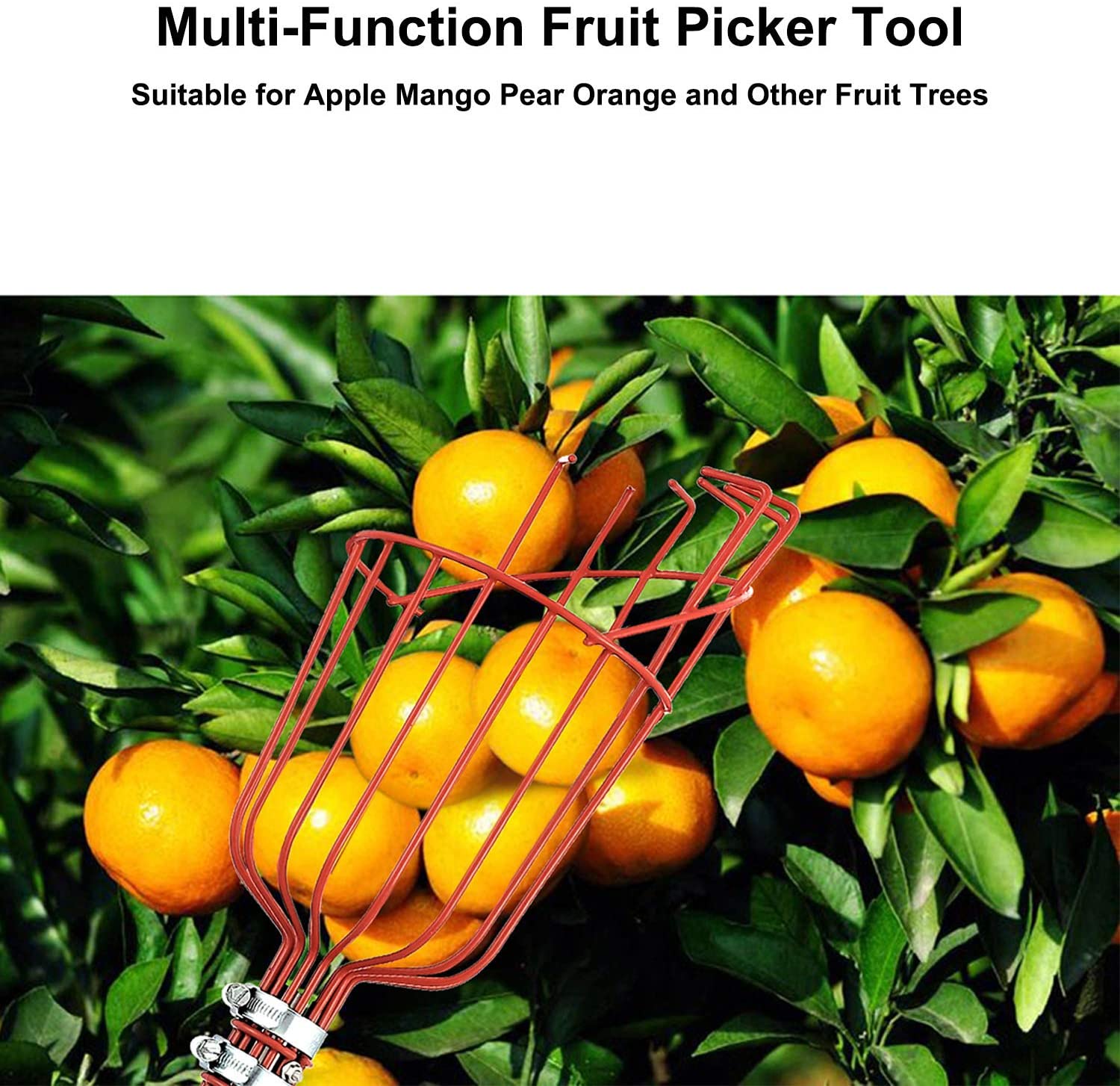 8 Best Fruit Picker - Say goodbye to fruit and tree damage - Tool Box